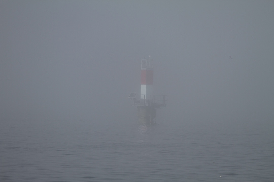 Darum Hafen: Port Hardy – Flora Sailing