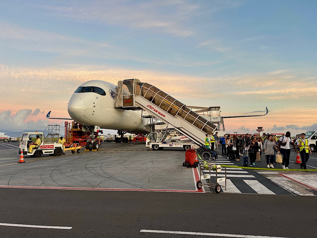 Phänomenal. – Flora Sailing