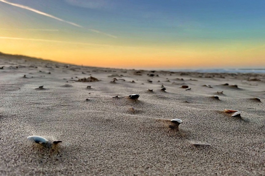 Dänemark über Silvester – Flora Sailing