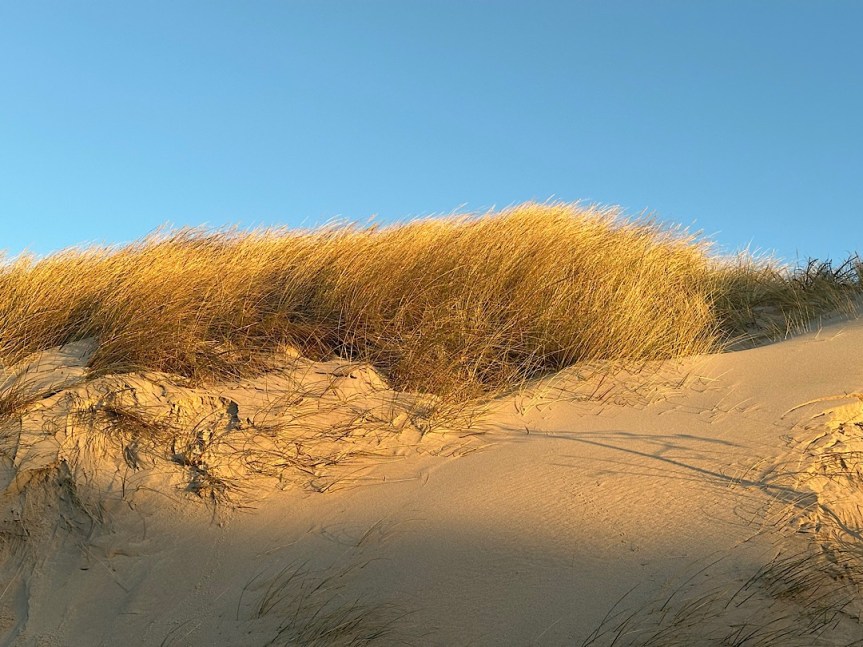 Dänemark über Silvester – Flora Sailing